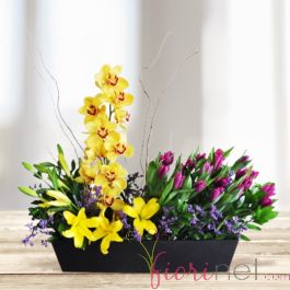 Florerias FioriNET ® | Duo