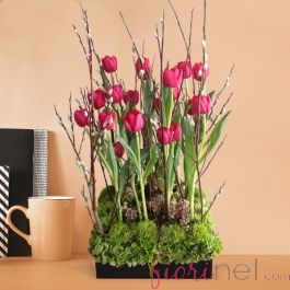 Florerias FioriNET ® | Tulipanes Forest